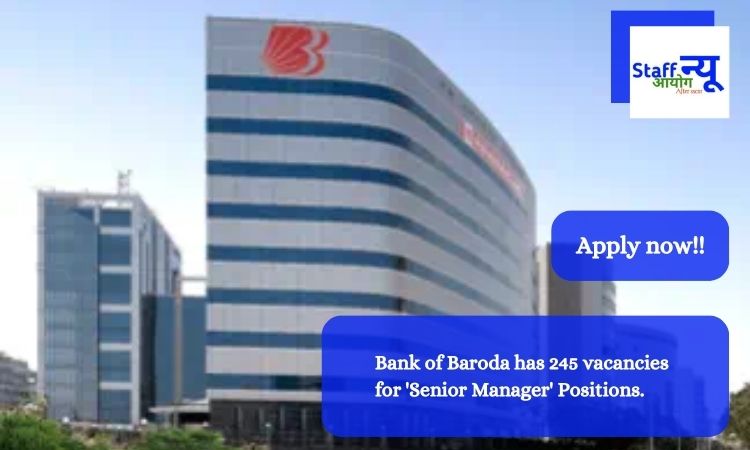 Bank of Baroda has 245 vacancies for ‘Senior Manager’ Positions. Apply ...