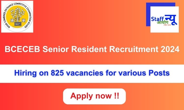 BCECEB Senior Resident Recruitment 2024: 825 vacancies will be filled ...
