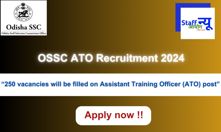 OSSC ATO Recruitment 2024: 250 vacancies will be filled. Apply now ! - sscnr
